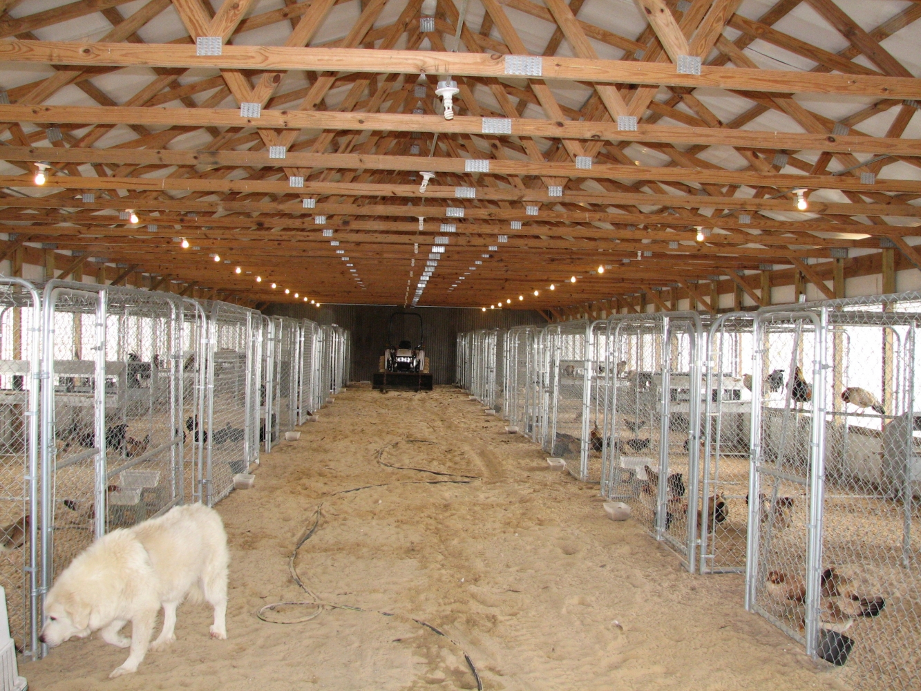 Farm – Chandler Gamefowl Farm